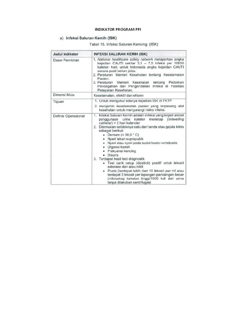 Indikator Program Ppi | PDF