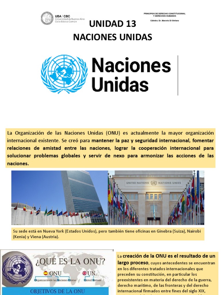 ONU: Estructura y Funciones Clave | PDF | Naciones Unidas | Relaciones ...