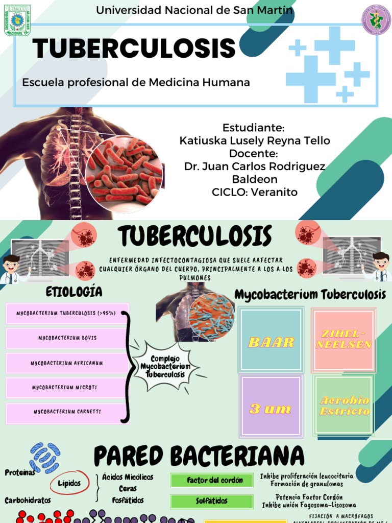 Tuberculosis (1) | PDF