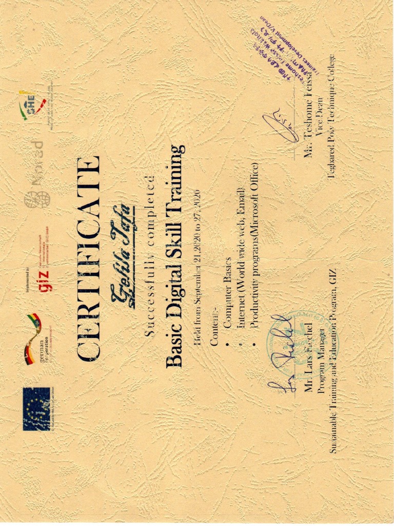 Basic Digital Skill Training | PDF