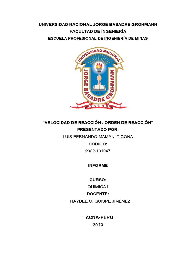2022 101047 Informe Luis Fernando Mamani Ticona | PDF | Reacciones químicas | Cinética química