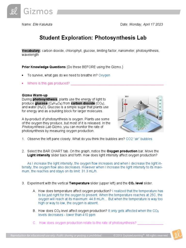 Photosynthesis Lab Gizmo Exploration | PDF | Photosynthesis | Carbon ...