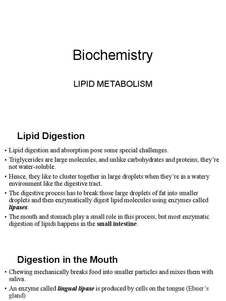Lipid Metabolism | PDF | Lipoprotein | Biosynthesis
