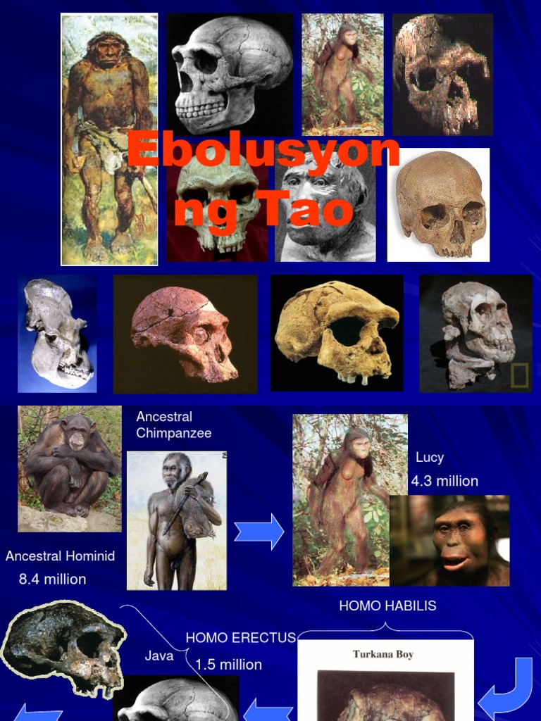 Ebolusyon NG Tao | PDF