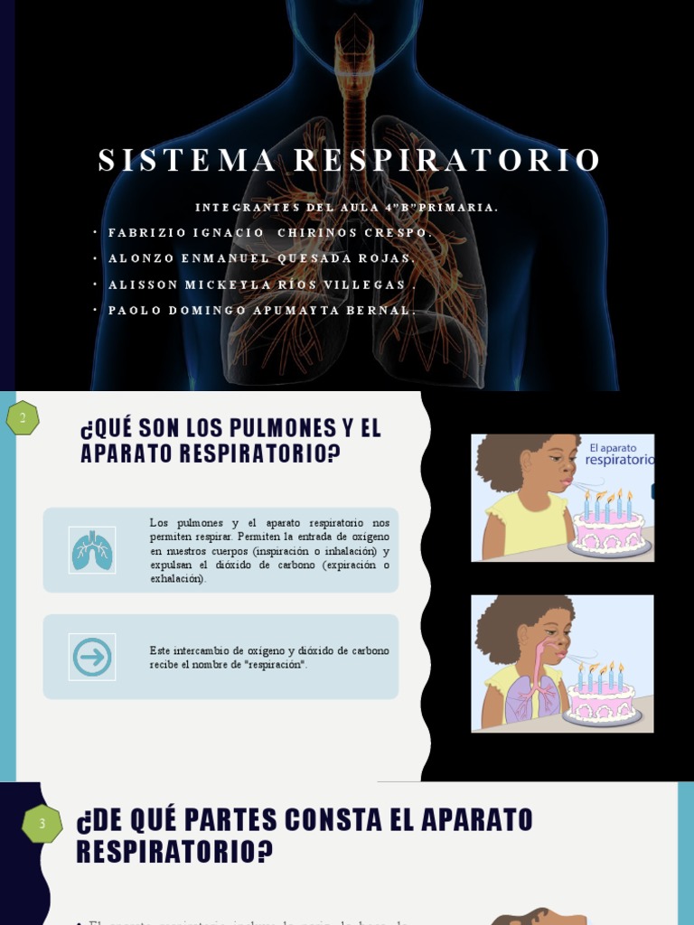 Hoja De Trabajo Sobre El Etiquetado Del Sistema Respiratorio