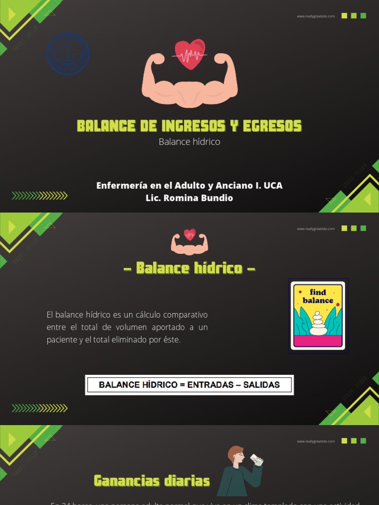 Balance de Ingresos y Egresos | PDF