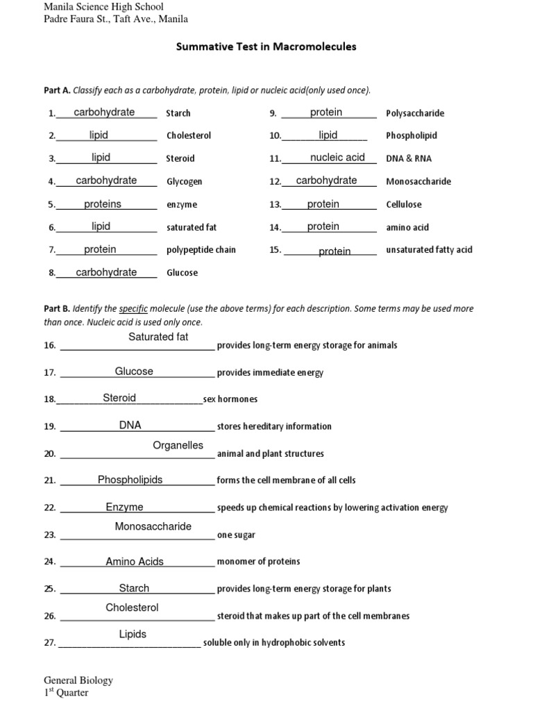 Macromolecules Summative Test Guide | PDF | Carbohydrates | Polysaccharide