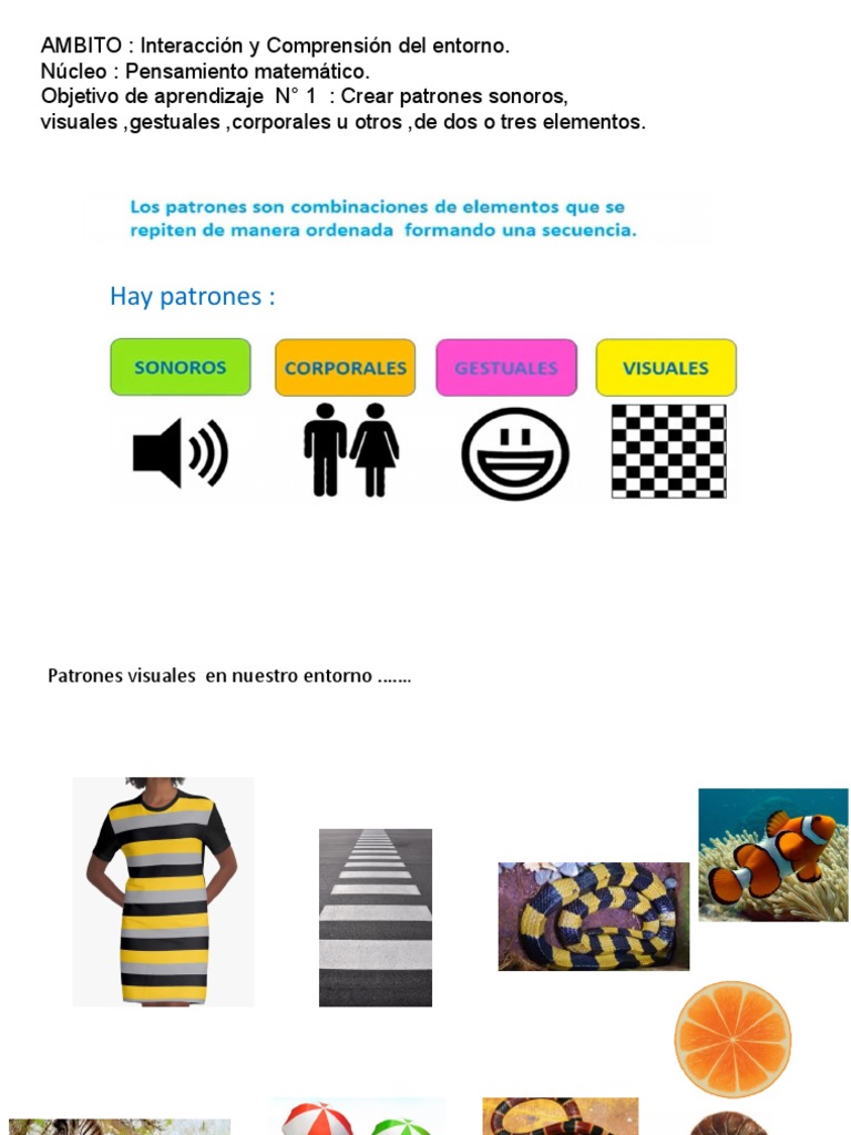 Patrones Visuales | PDF