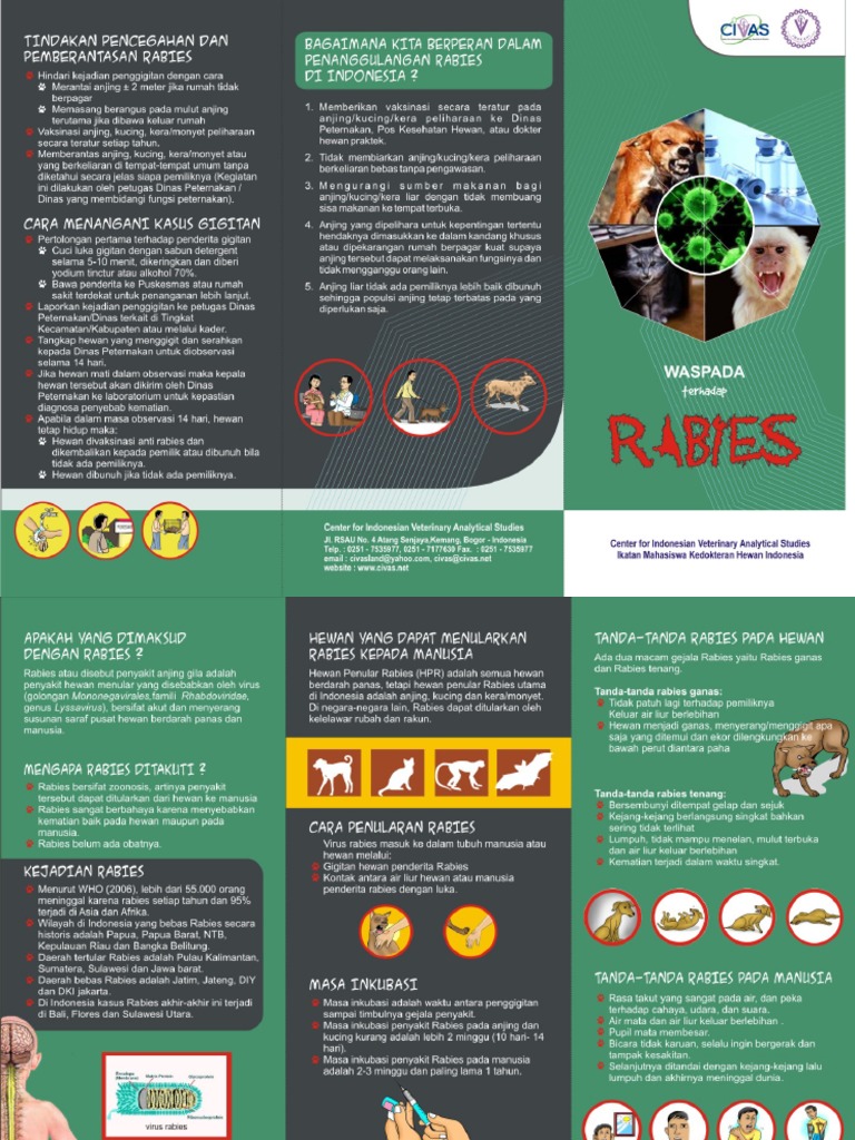 Leaflet-Rabies kita | PDF