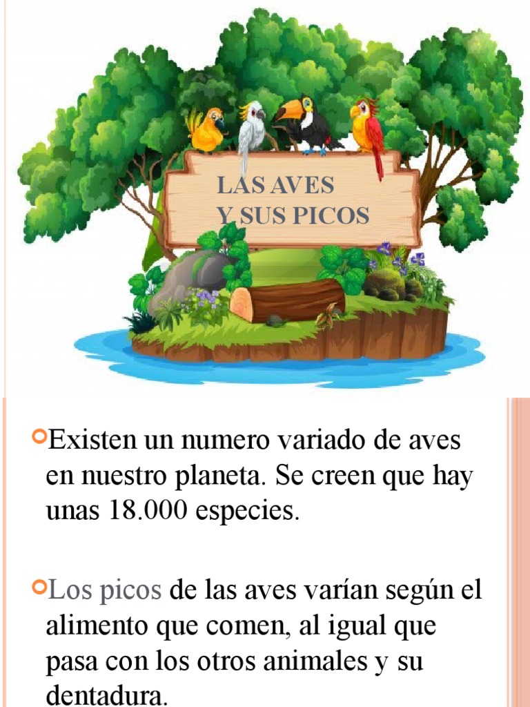 Diversidad de Picos en Aves | PDF | Hogar, jardinería y bricolaje ...