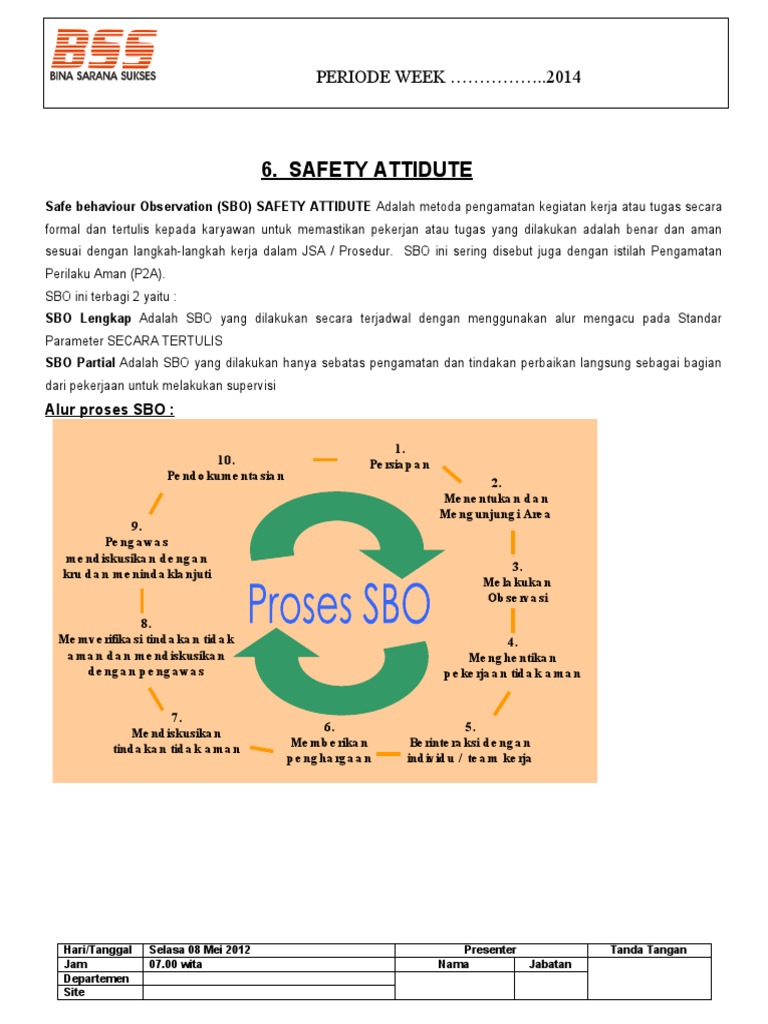 Safe Behaviour Observation (SBO) | PDF