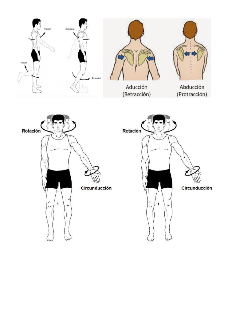 biologiatarea | PDF