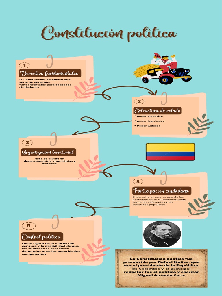 Infografia de La Constitución Política | PDF