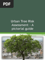 ISABasicTreeRiskAssessmentForm Instructions | PDF | Wood | Trees