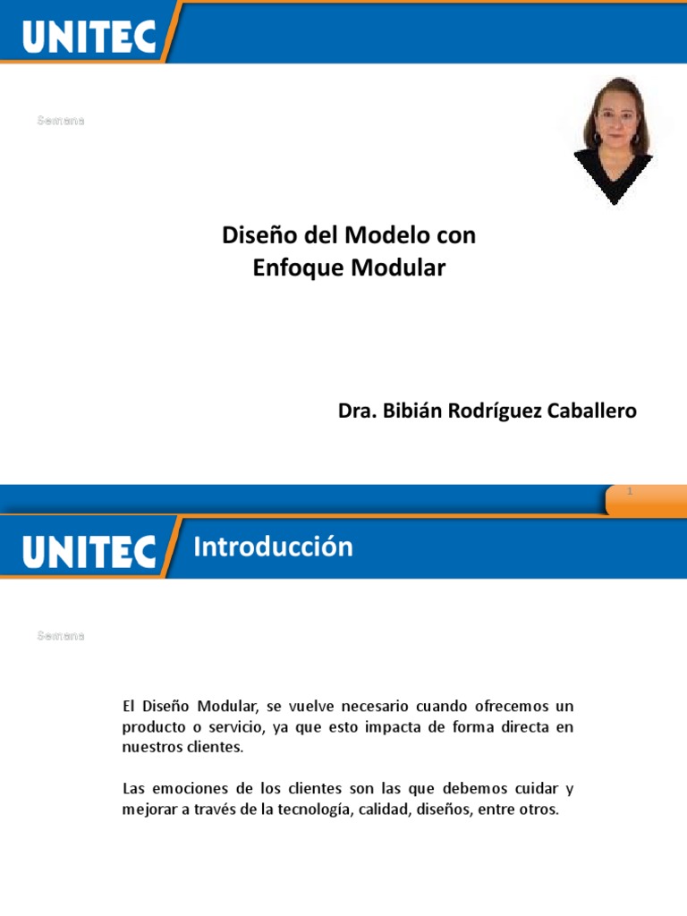 Diseño Del Modelo Con Enfoque Modular | PDF