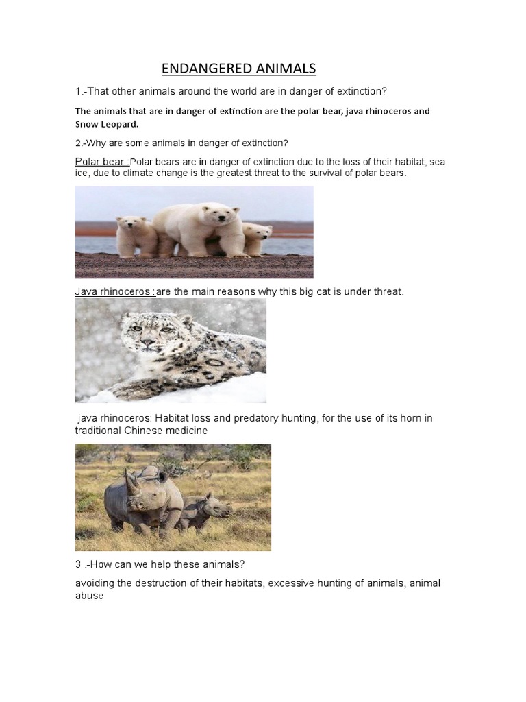 Endangered Animals | PDF