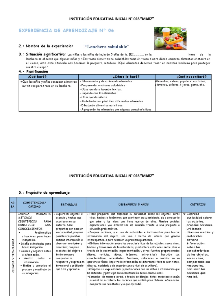 Experiencia de Aprendizaje N 06 | PDF