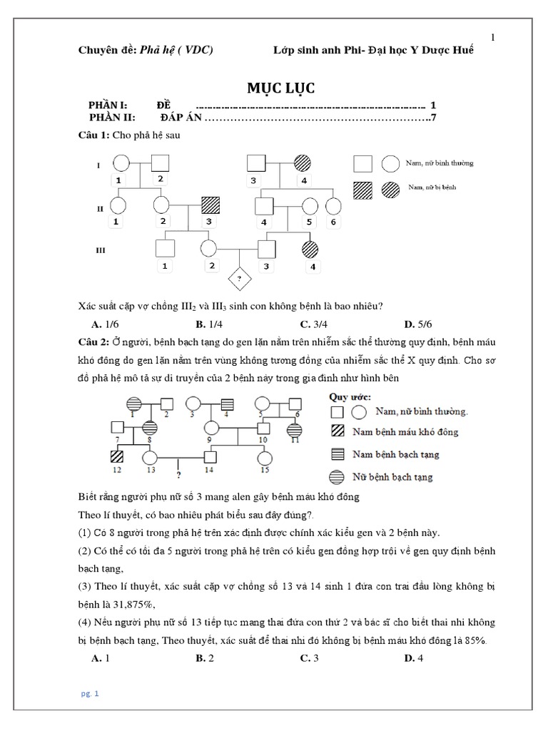 PHẢ HỆ (VDC) | PDF