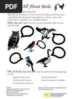 Hudhud: The Hoopoe Bird Explained | PDF | Birds | Ornithology