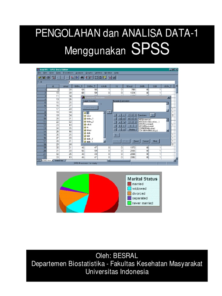 Panduan SPSS untuk Pemula | PDF