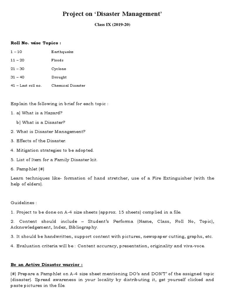 Class 9 Disaster Management Project Guide | PDF