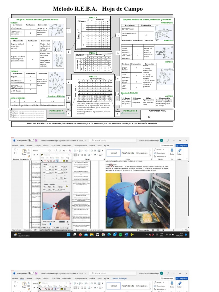 Reba - Hoja de Campo | PDF