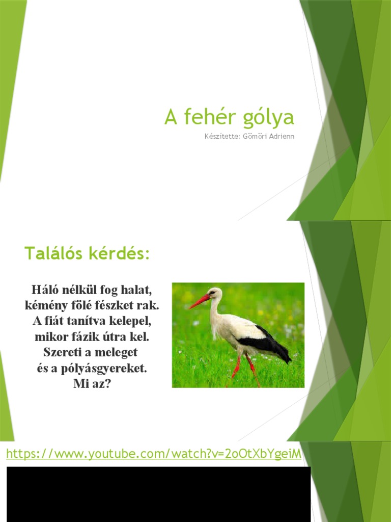 A Fehér Gólya | PDF