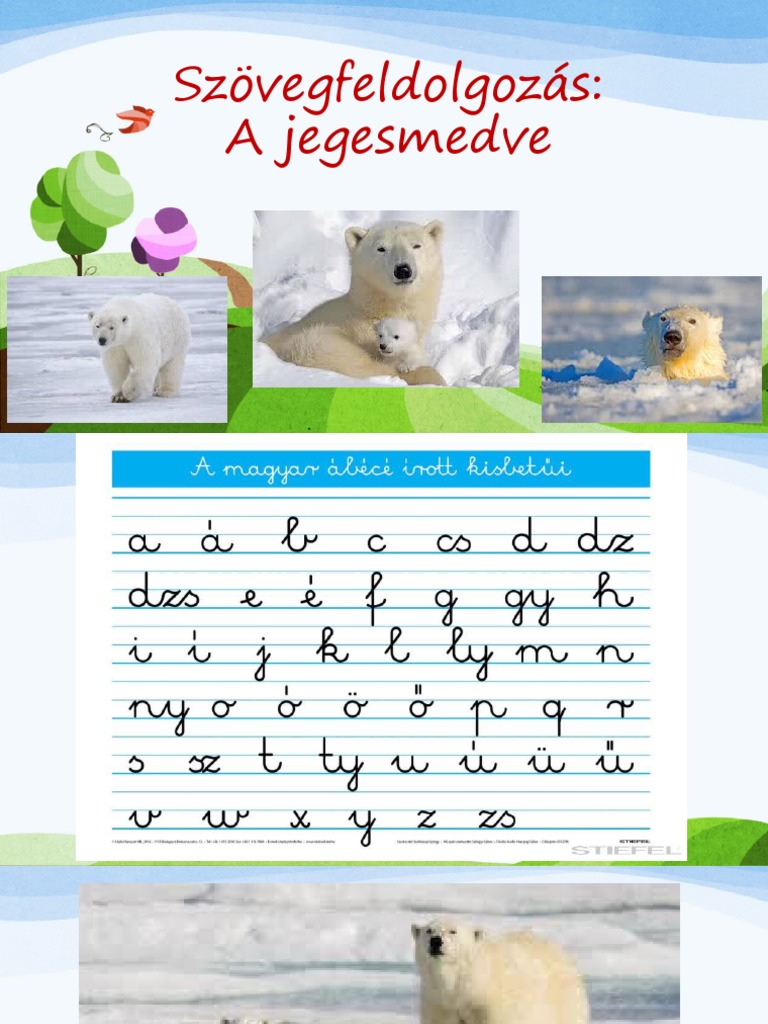 Jegesmedve | PDF