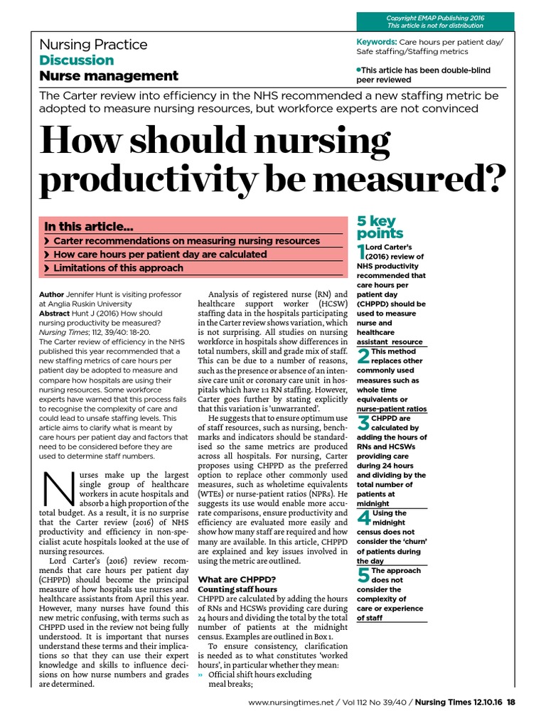 121016 How Should Nursing Productivity Be Measured | PDF | Nursing ...