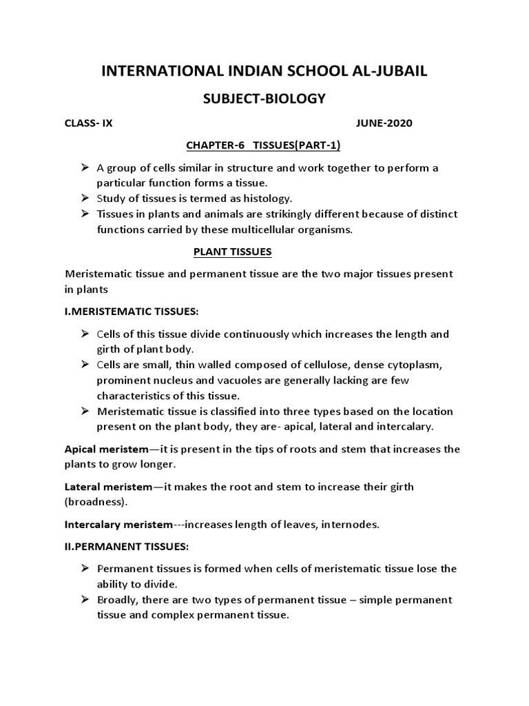 Class 9 Biology: Plant Tissues Overview | PDF | Tissue (Biology) | Leaf
