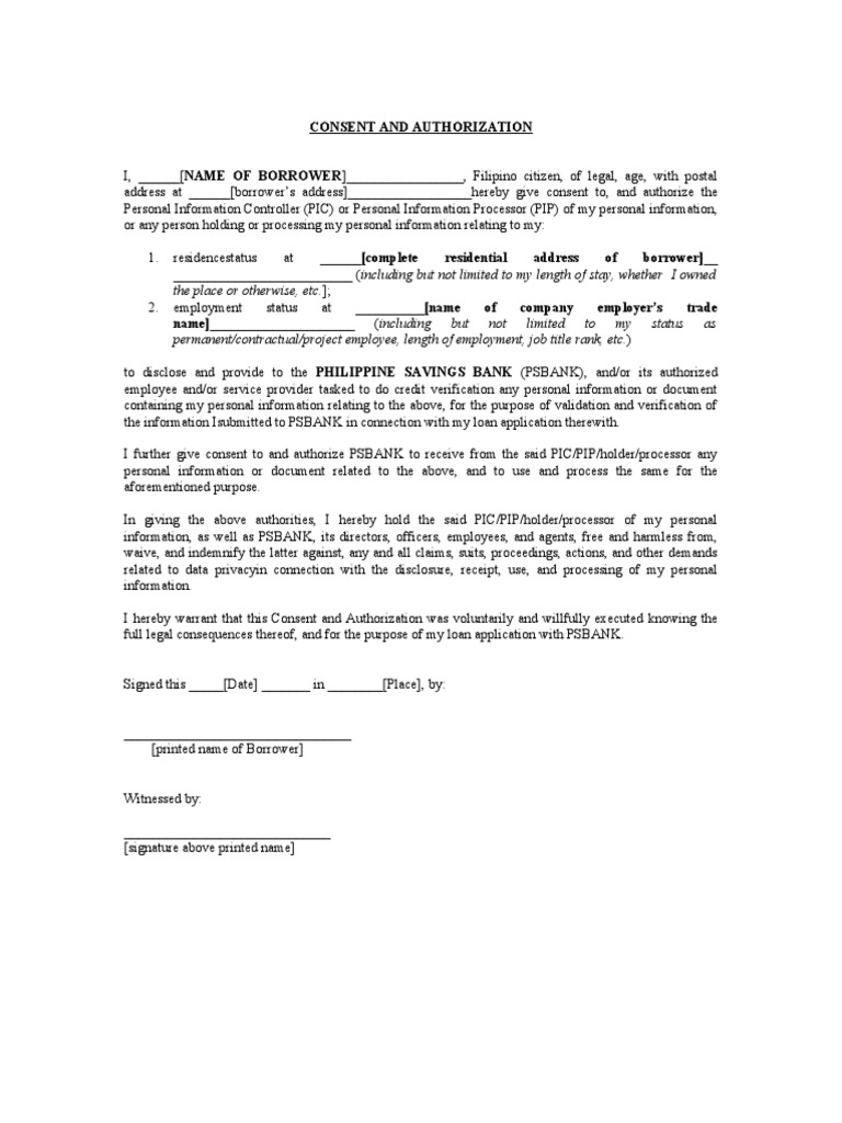 Loan Application Consent Form | PDF