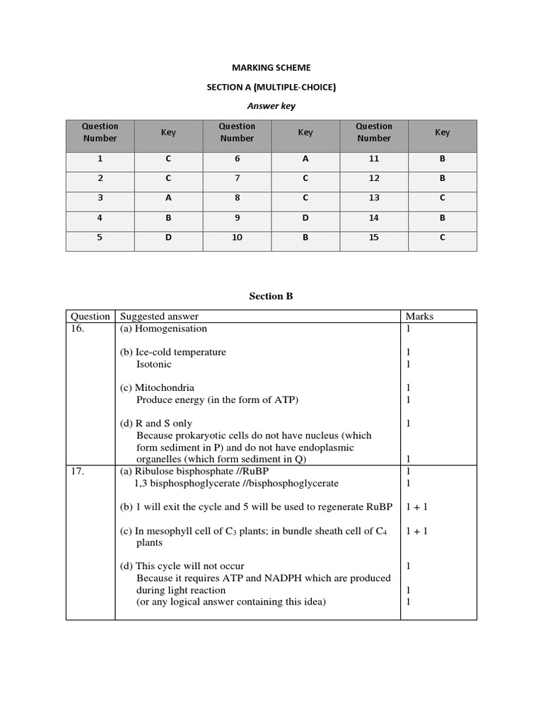 Marking Scheme Pembinaan Item Kbat Sem 1 2022 | PDF | Cellular Respiration | Endoplasmic Reticulum