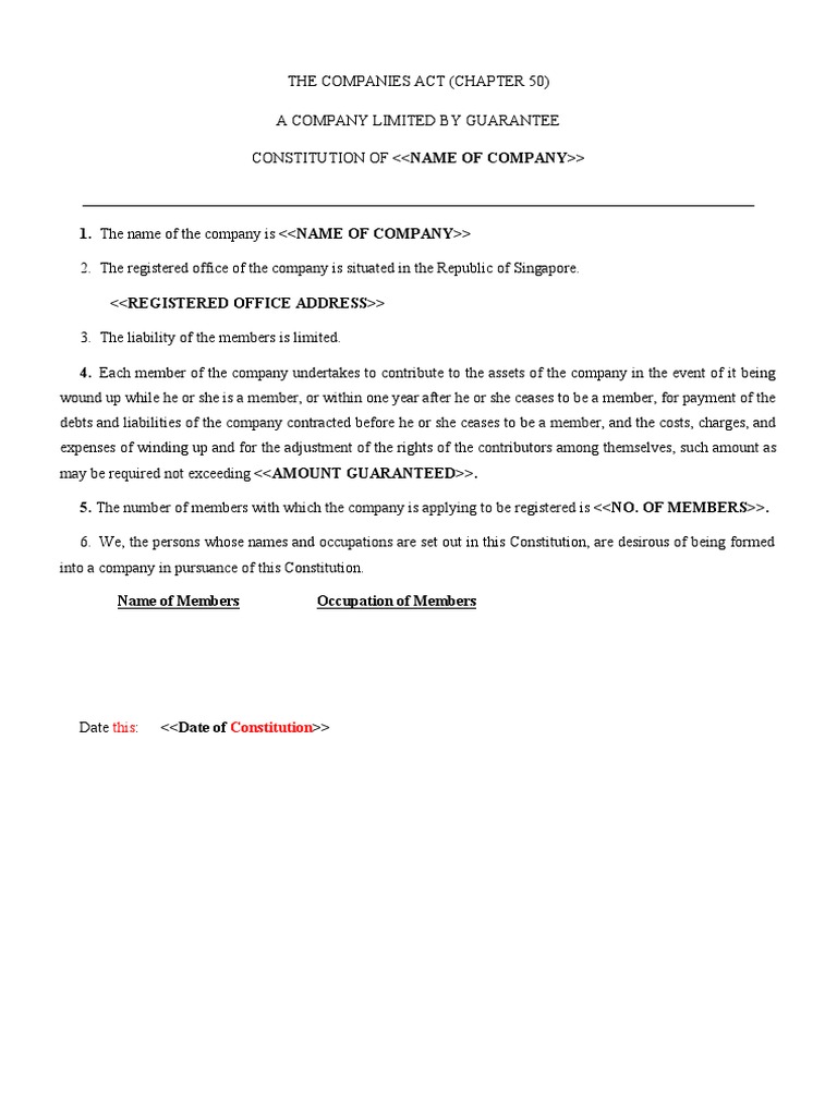 Model Constitution for CLG in Singapore | PDF | Indemnity | Proxy Voting