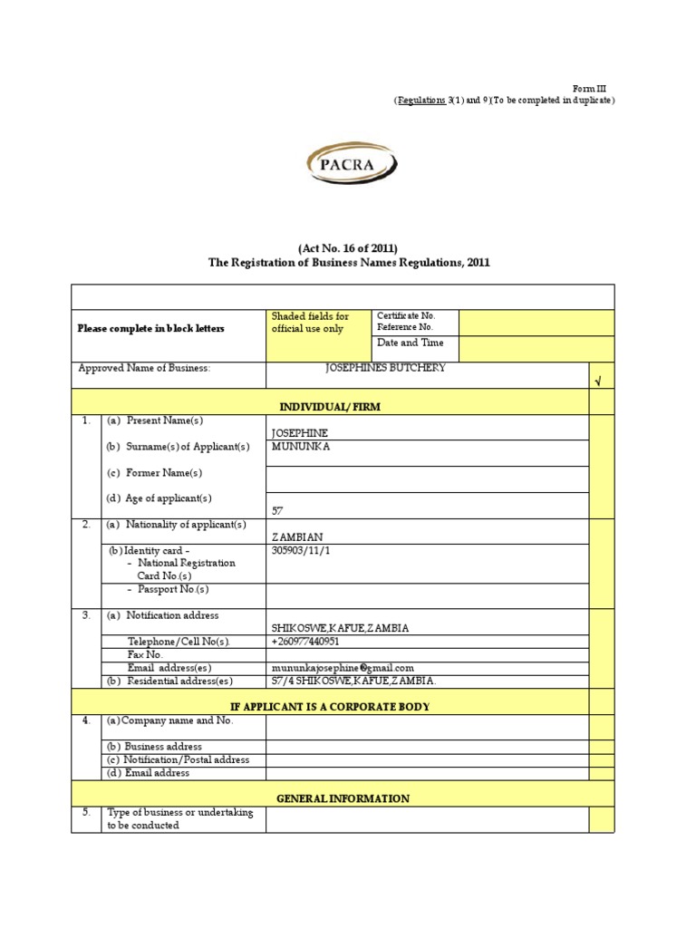 Business Registration Form | PDF