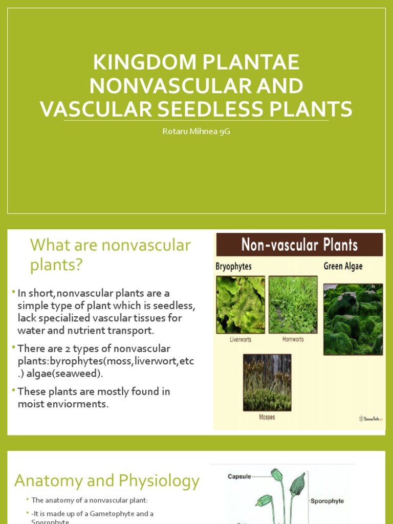 Kingdom Plantae Nonvascular And Seedless Plants Pdf Plants Sexual Reproduction