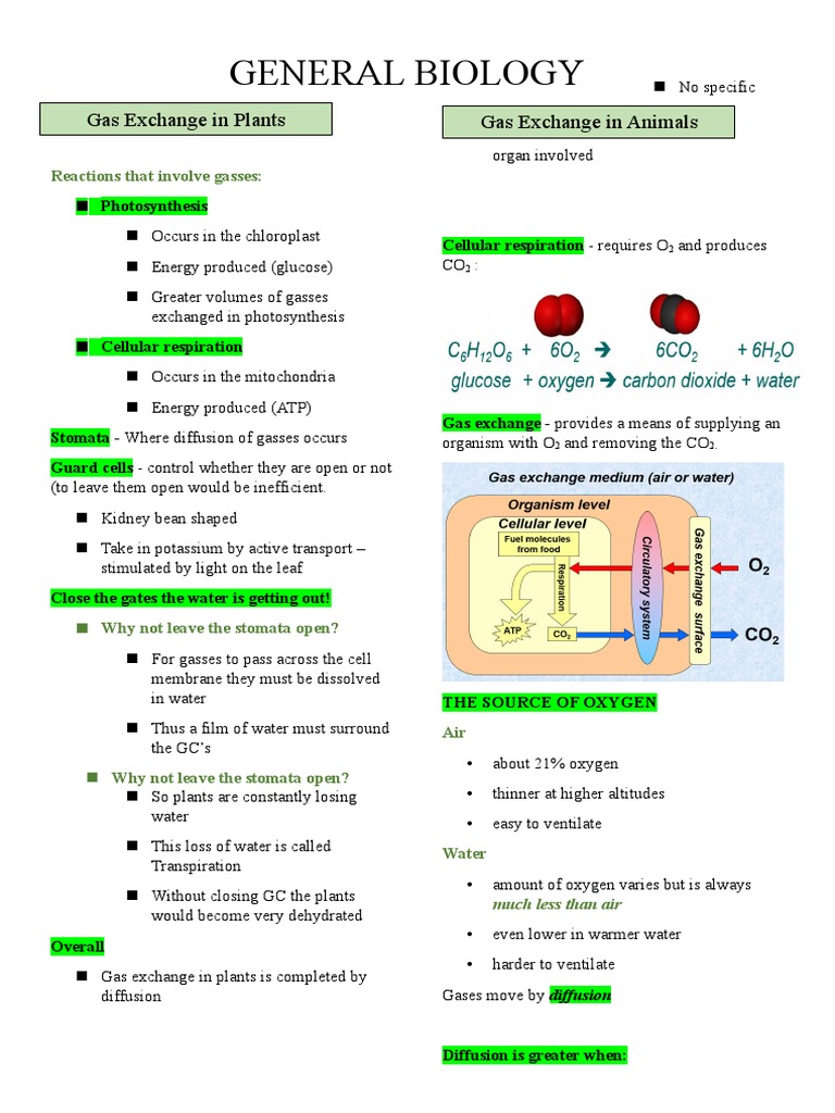 Gas Exchange Processes in Plants and Animals | PDF