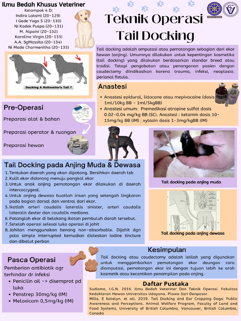 Laporan Poster Dan Ujian Poster CBL Kelompok 4D_Tail Docking | PDF