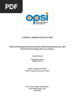 Proposal Opsi 2024 | PDF
