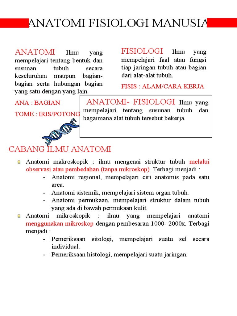 Anatomi Fisiologi Manusia - Ibd | PDF