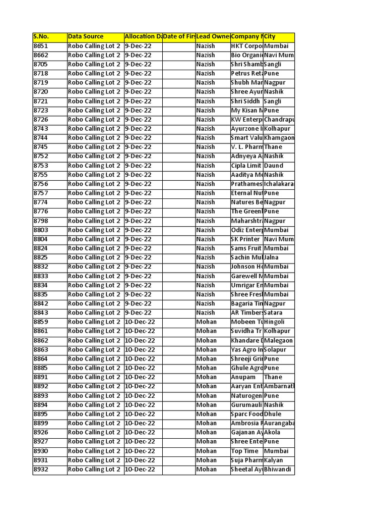 Lot 2 Robo Calling | PDF