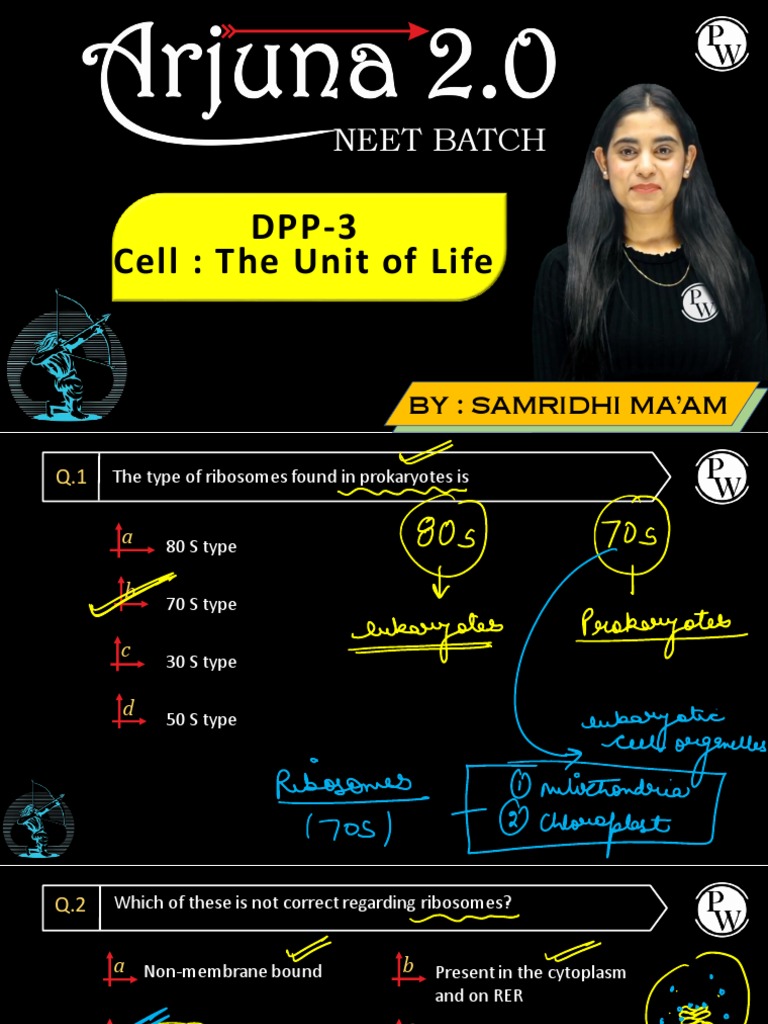 Cell Unit Of Life Dpp 03 Solution Notes Pdf Endoplasmic Reticulum