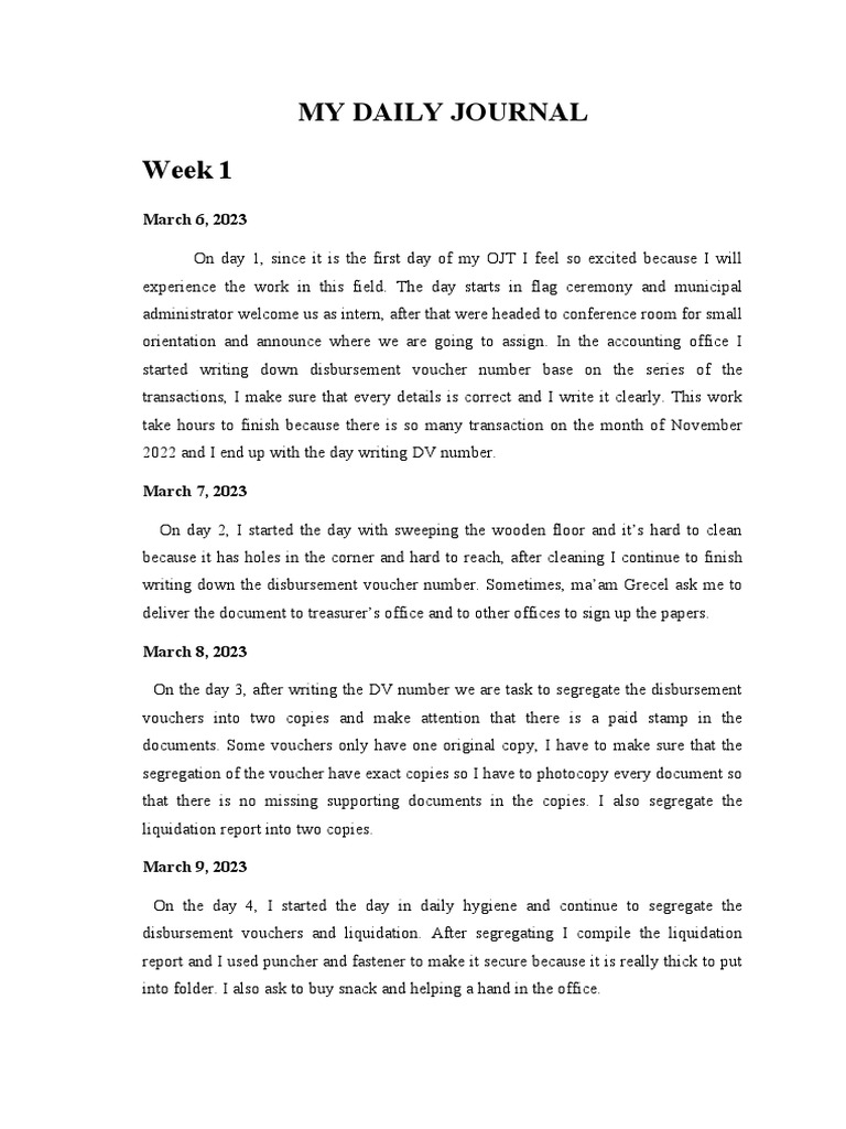 My Daily Journal | PDF