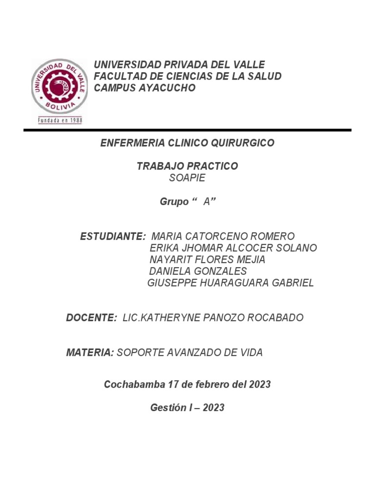 SOAPIE Word | PDF | Enfermería | Programas sociales