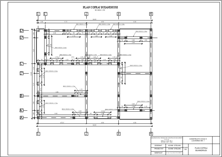 Plan Cofraj Buiandrugi | PDF