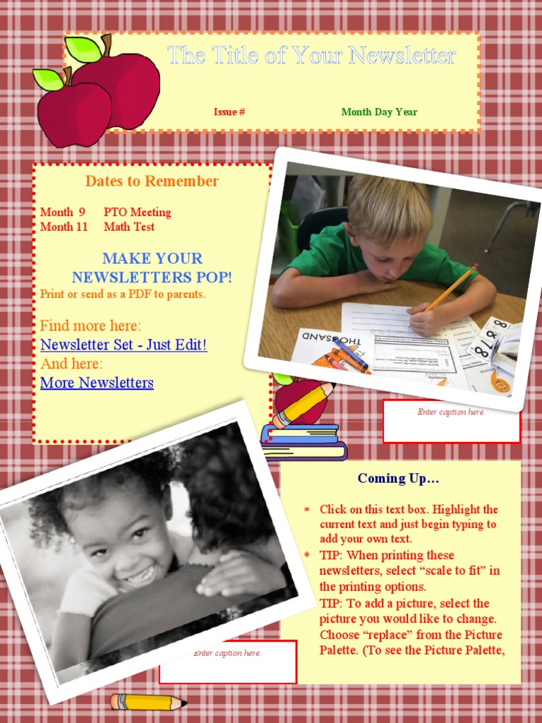 Editable Newsletter Sample FREEbie | PDF | Computing | Software