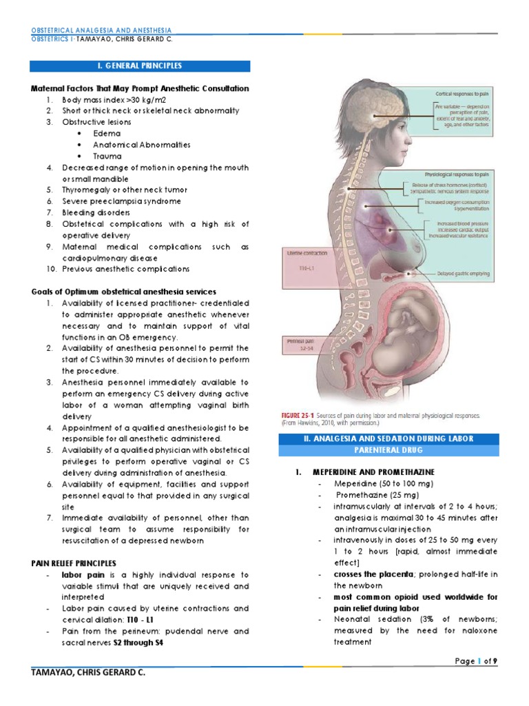 20 - Obstetrical Analgesia and Anesthesia | PDF | Anesthesia | Childbirth