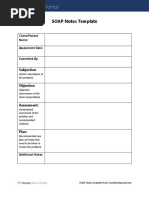 5Ps Formulation Worksheet | PDF