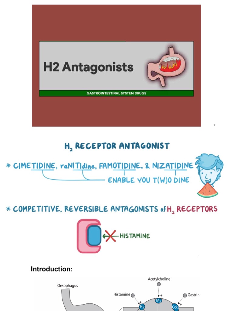 H2 Antihistamines S.I Students | PDF | Receptor Antagonist | Ligand ...
