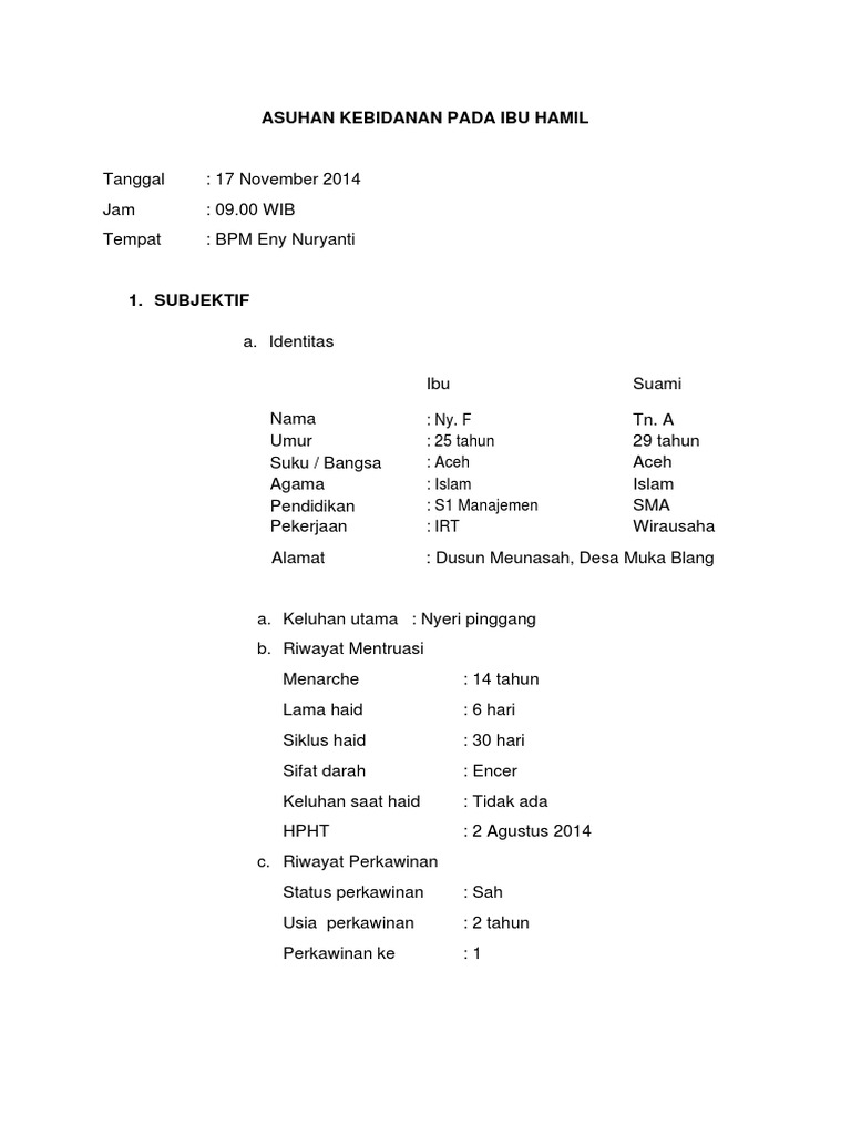 Asuhan Kebidanan Ibu Hamil 14 Minggu | PDF