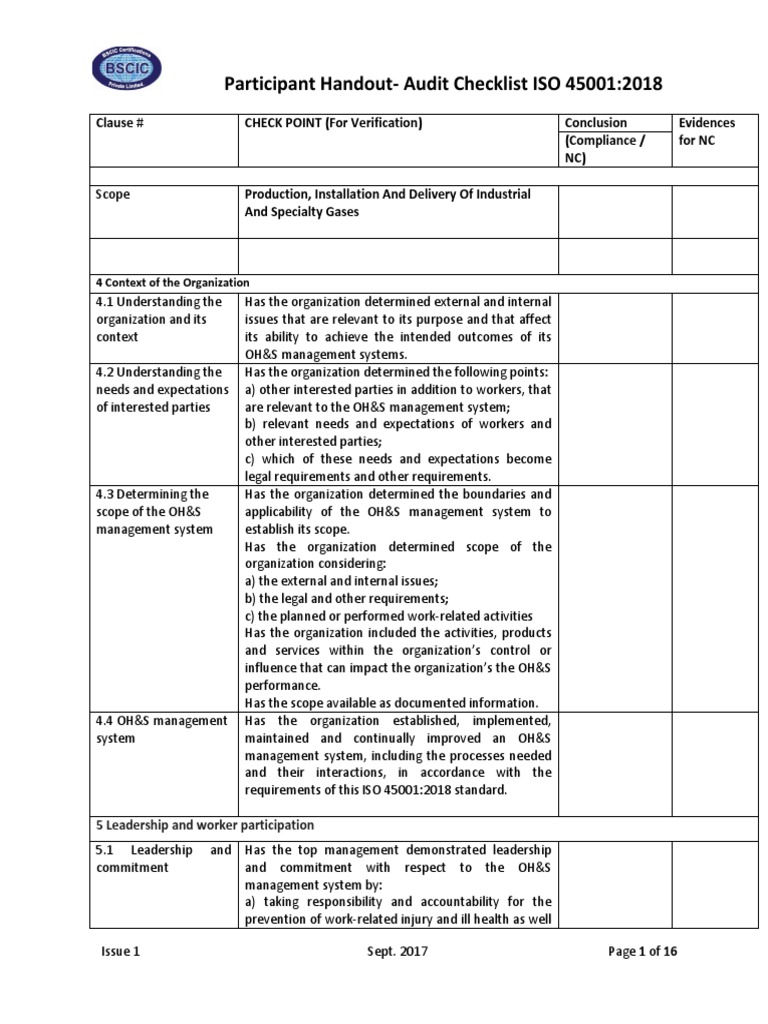 Participant Handout - Audit Checklist | PDF | Audit | Occupational ...